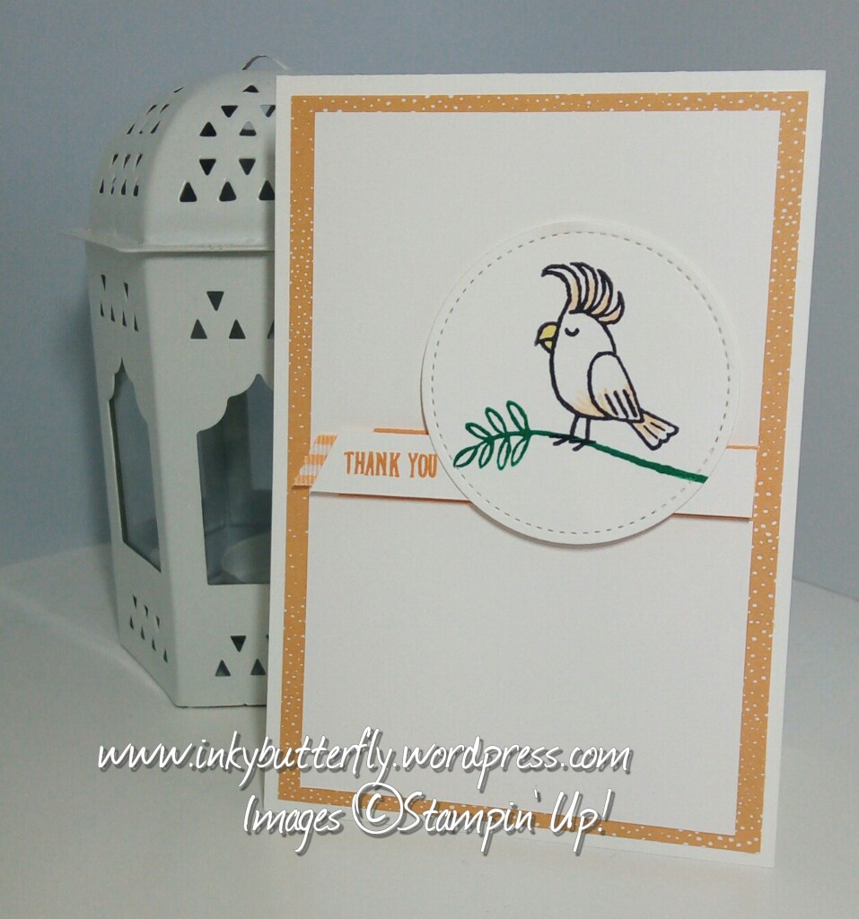 Tweet Thank You Card – Stampin' with inkybutterfly