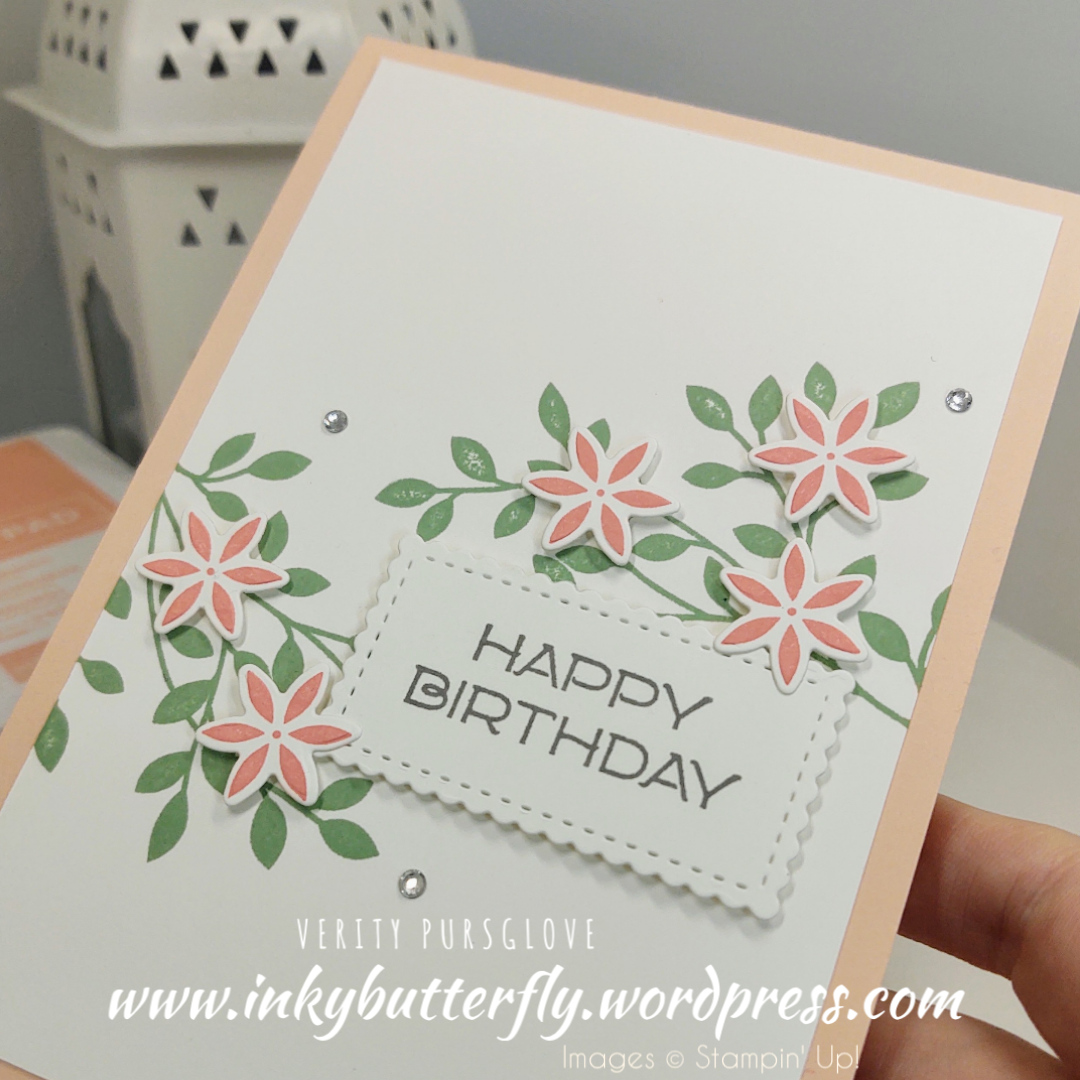 Clean and Simple Cards with the Vine Design Bundle – Stampin' with ...